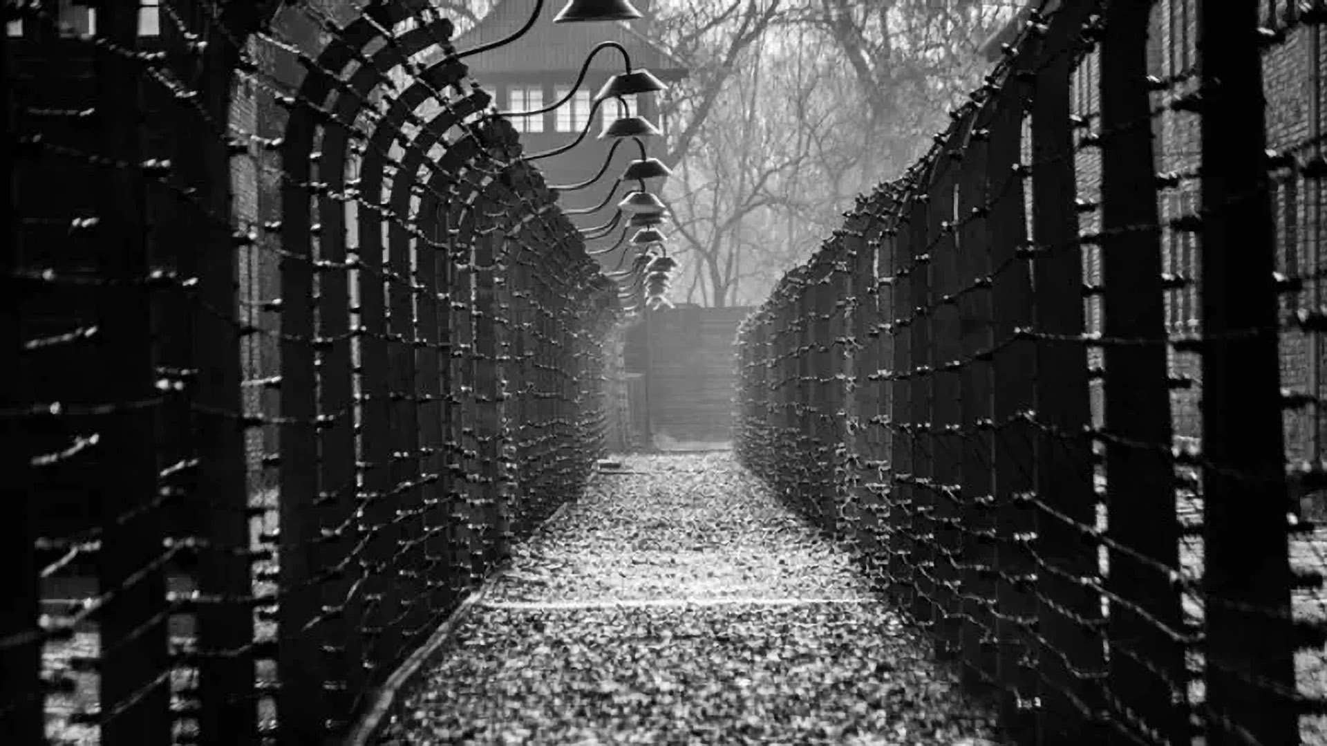 Unstoppable: The story of Siggi Wilzig: A Must Read book | Unstoppable